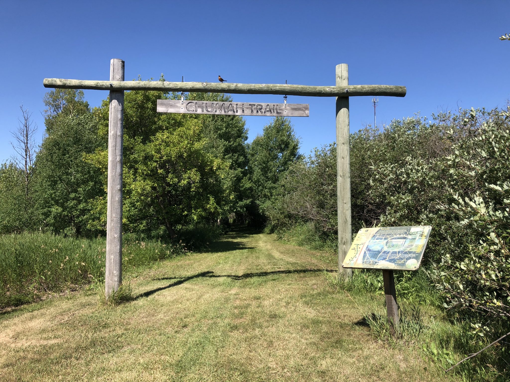 Hamiota Municipality | Trails